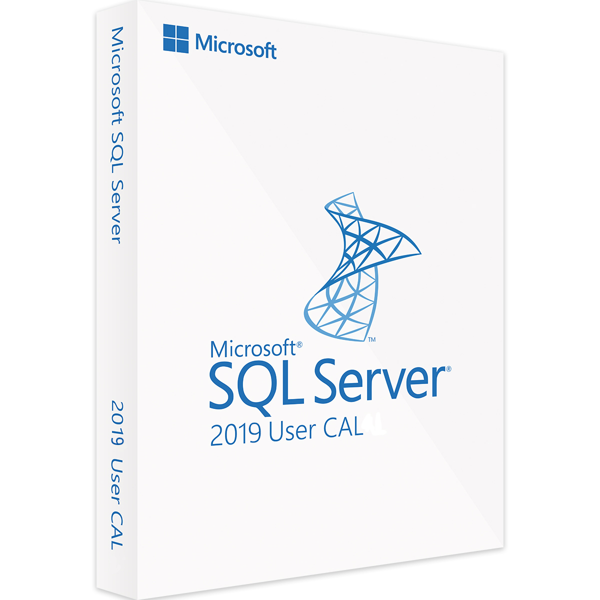 CAL SQL Server 2019 Microsoft CAL for SQL Server Access Licenses ...